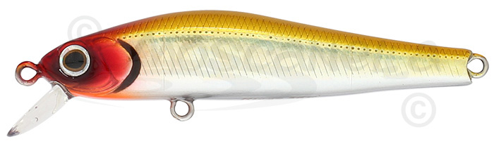 Воблеры ZipBaits - Rigge 56: описание, цена, оптовые продажи